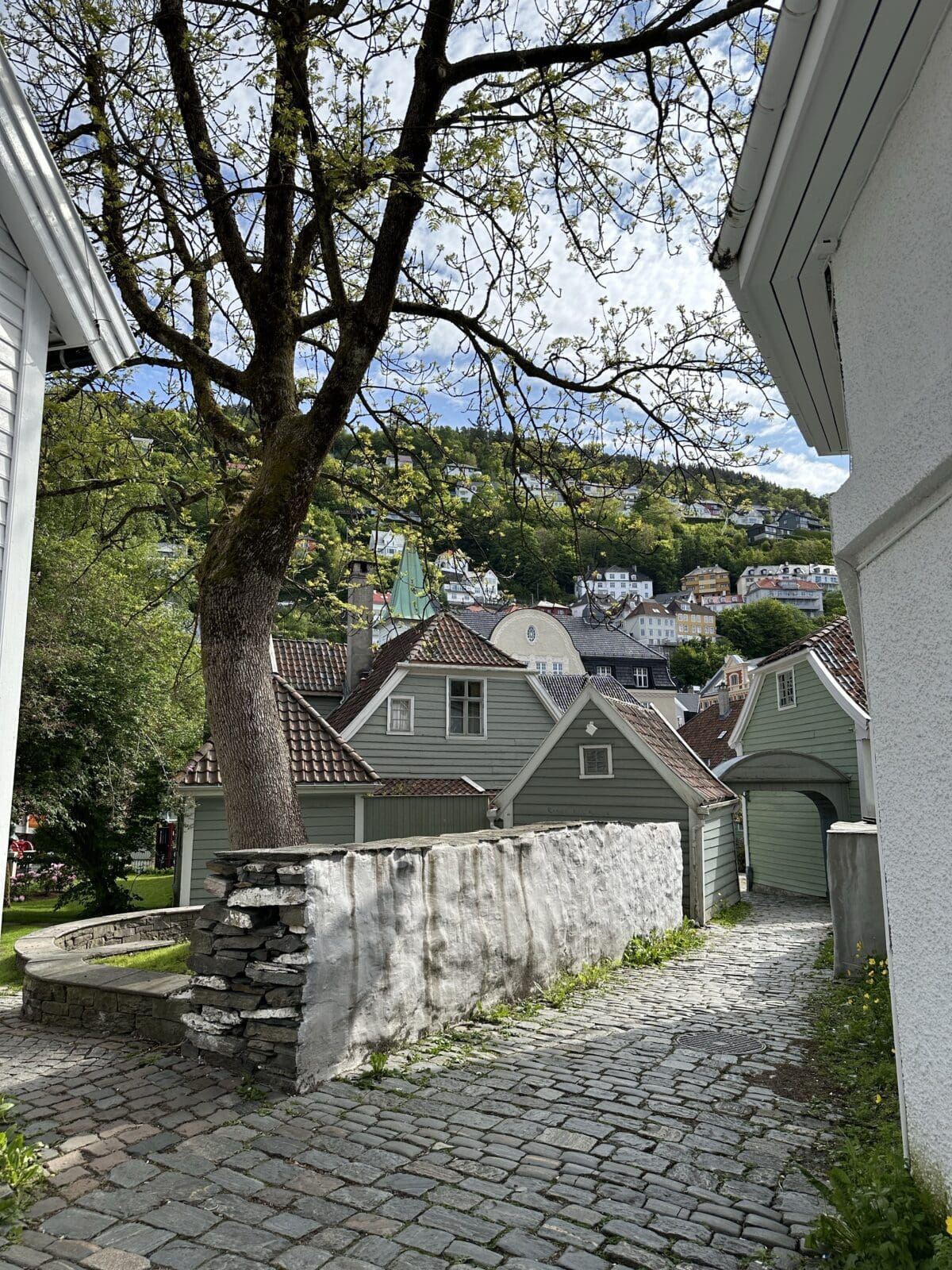 Postcard 4 from Norway – Voss, Bergen and back to Oslo - Yorkshire ...