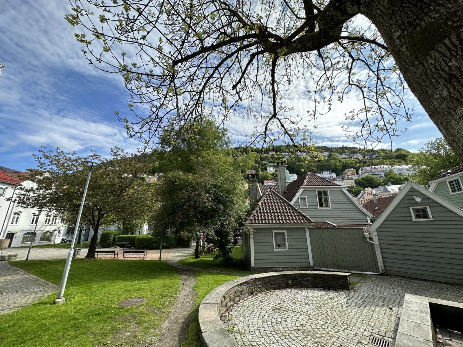 Postcard 4 from Norway – Voss, Bergen and back to Oslo - Yorkshire ...